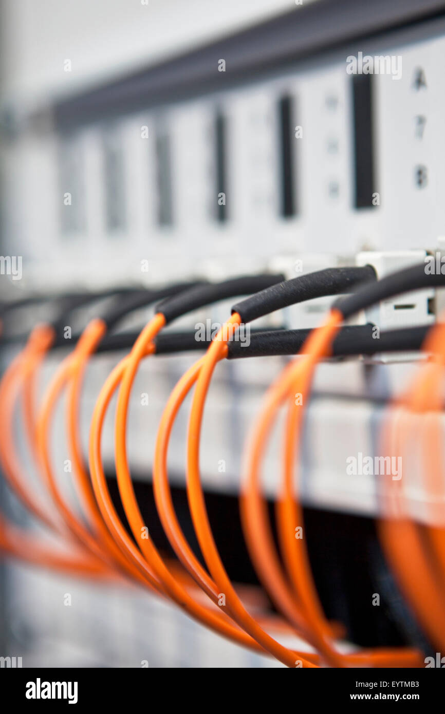 Network internet cable plugs hi-res stock photography and images - Alamy