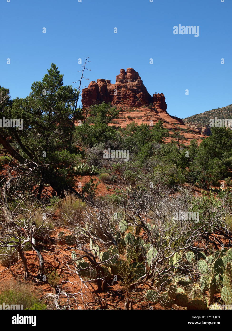Red rock landscape hi-res stock photography and images - Alamy