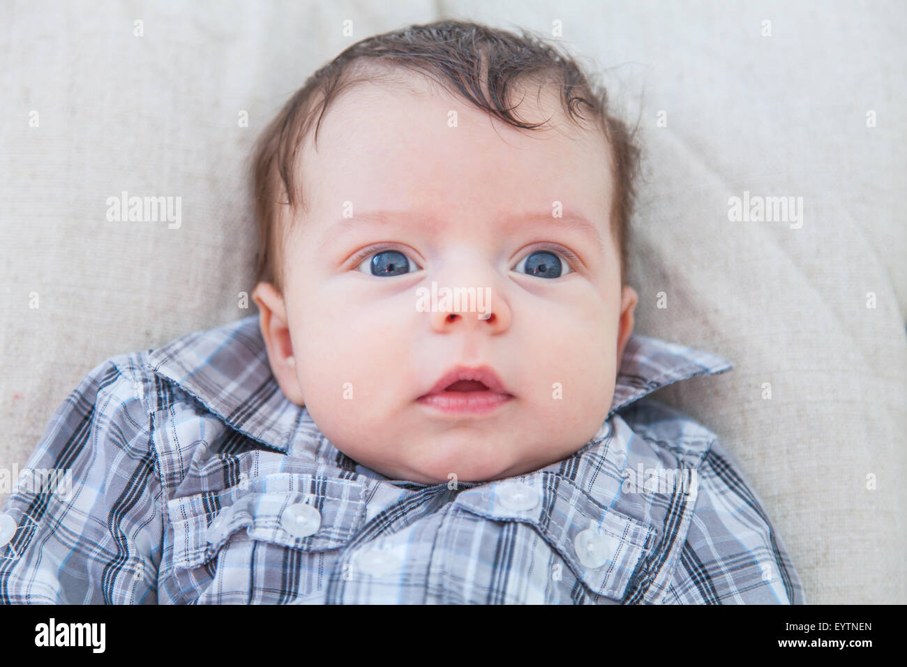 Portrait of a 2 months old baby boy at home Stock Photo - Alamy