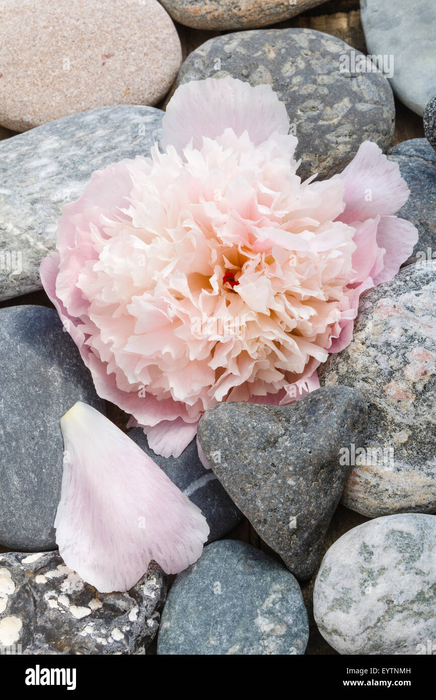 Shaped stones hi-res stock photography and images - Alamy