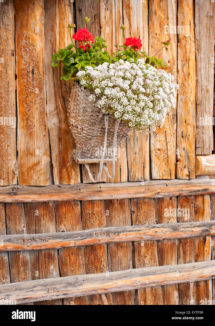 pannier with floral decoration Stock Photo - Alamy