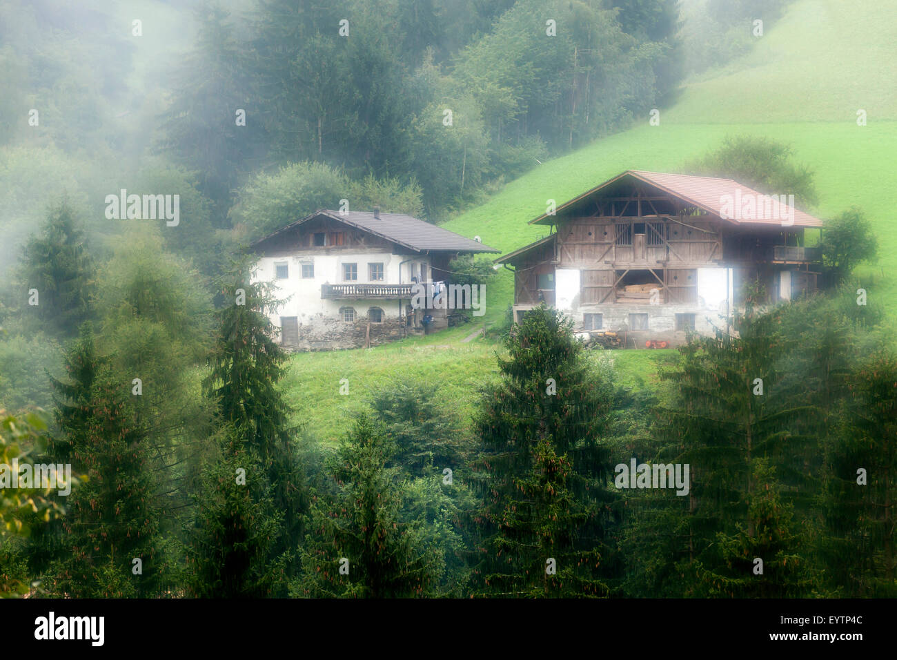 Mountain farm in fog Stock Photo - Alamy