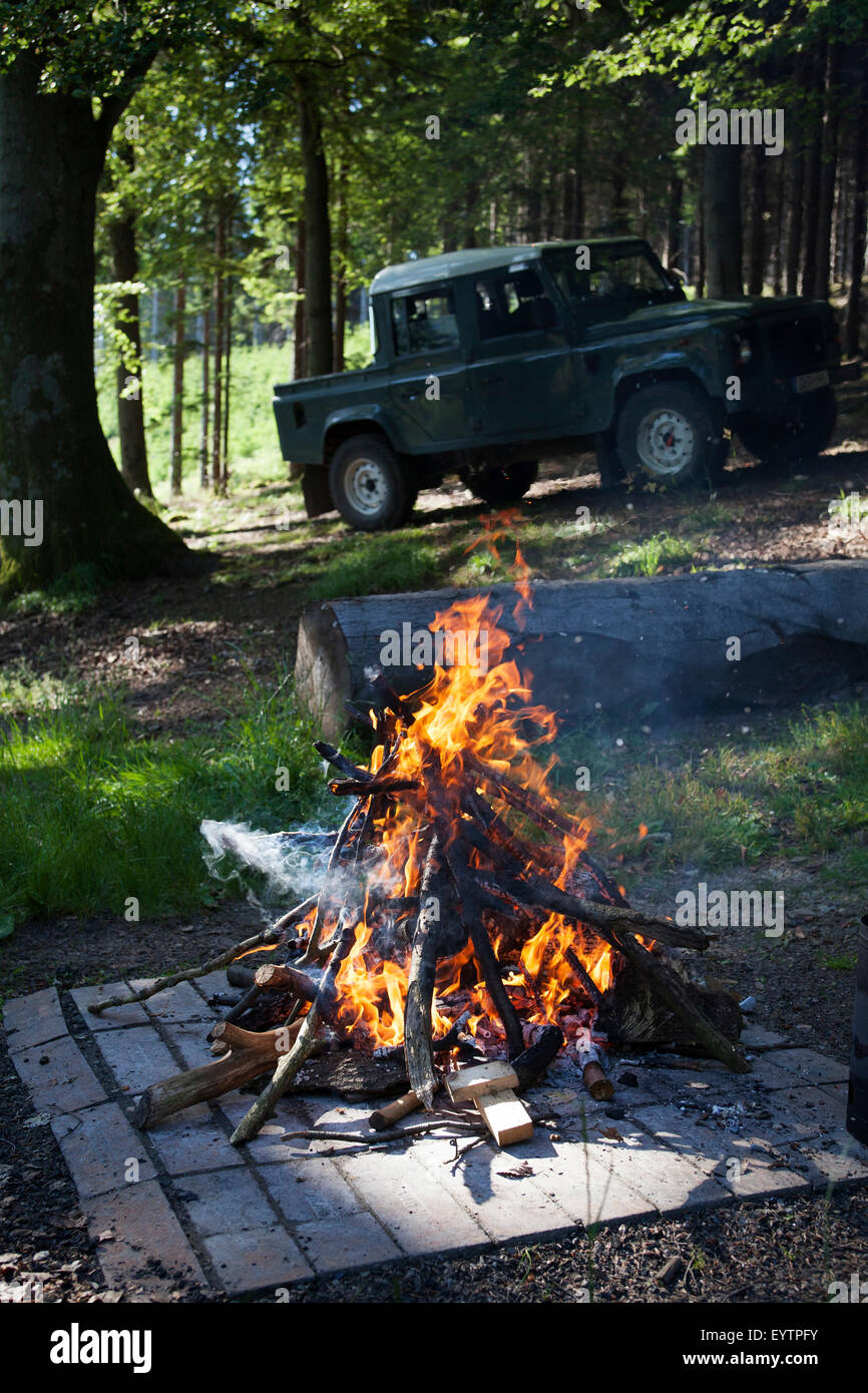 Open campfire in the wood Stock Photo - Alamy