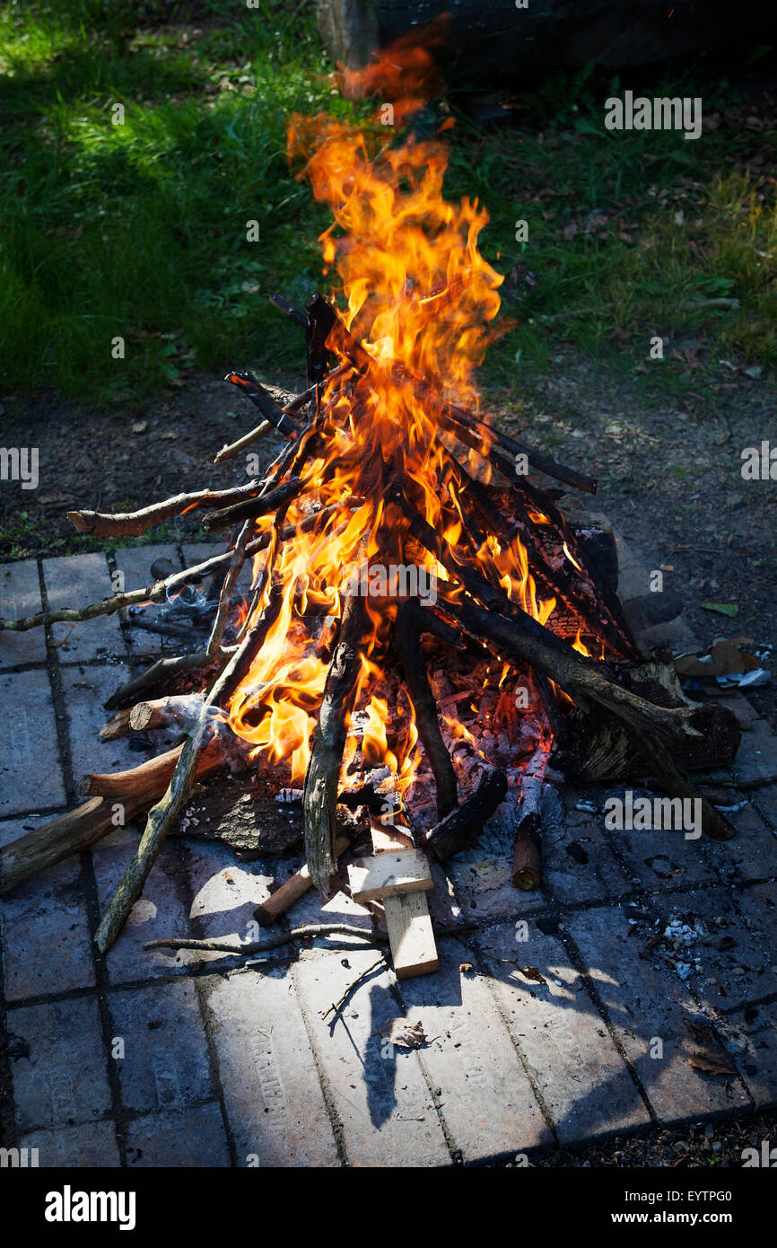 Open campfire in the wood Stock Photo - Alamy