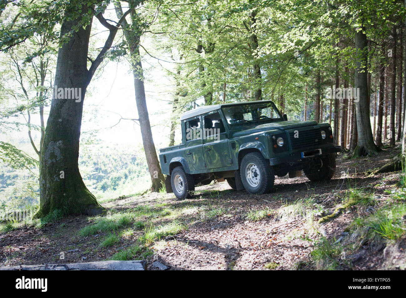 Cross-country vehicle in the wood Stock Photo - Alamy