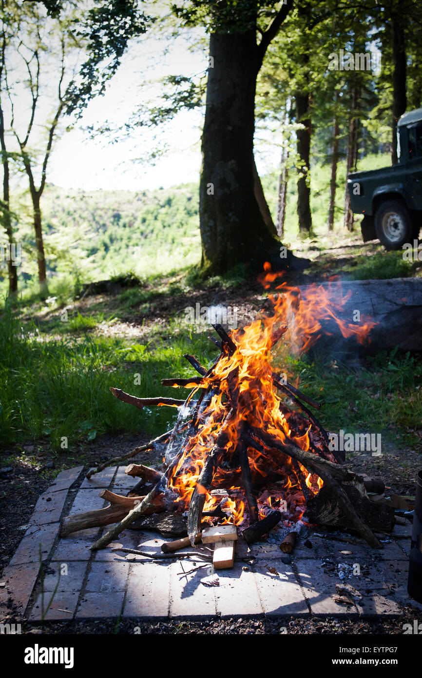 Open campfire in the wood Stock Photo - Alamy