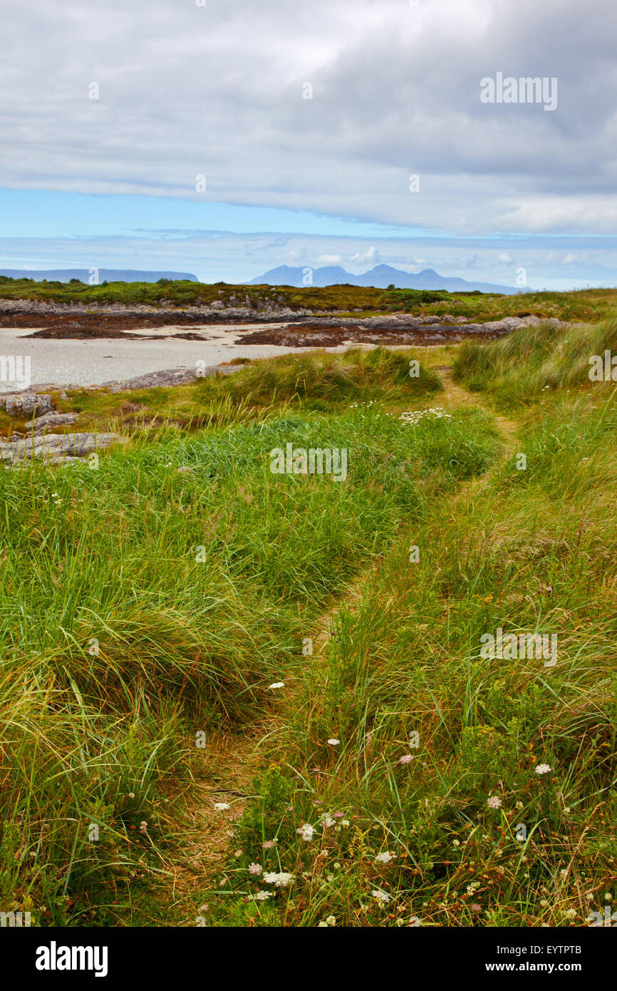 Beach, way, path, coast, grass, low tide, highlands, summer, Scotland ...