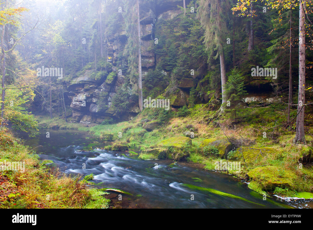 Edmundsklamm, Kamnitz, autumn, colour of the leaves, Bohemian ...