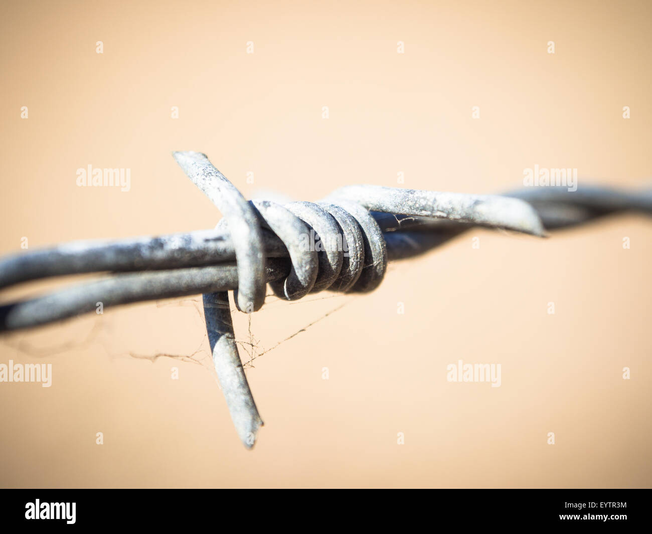 Wire mesh barrier hi-res stock photography and images - Alamy
