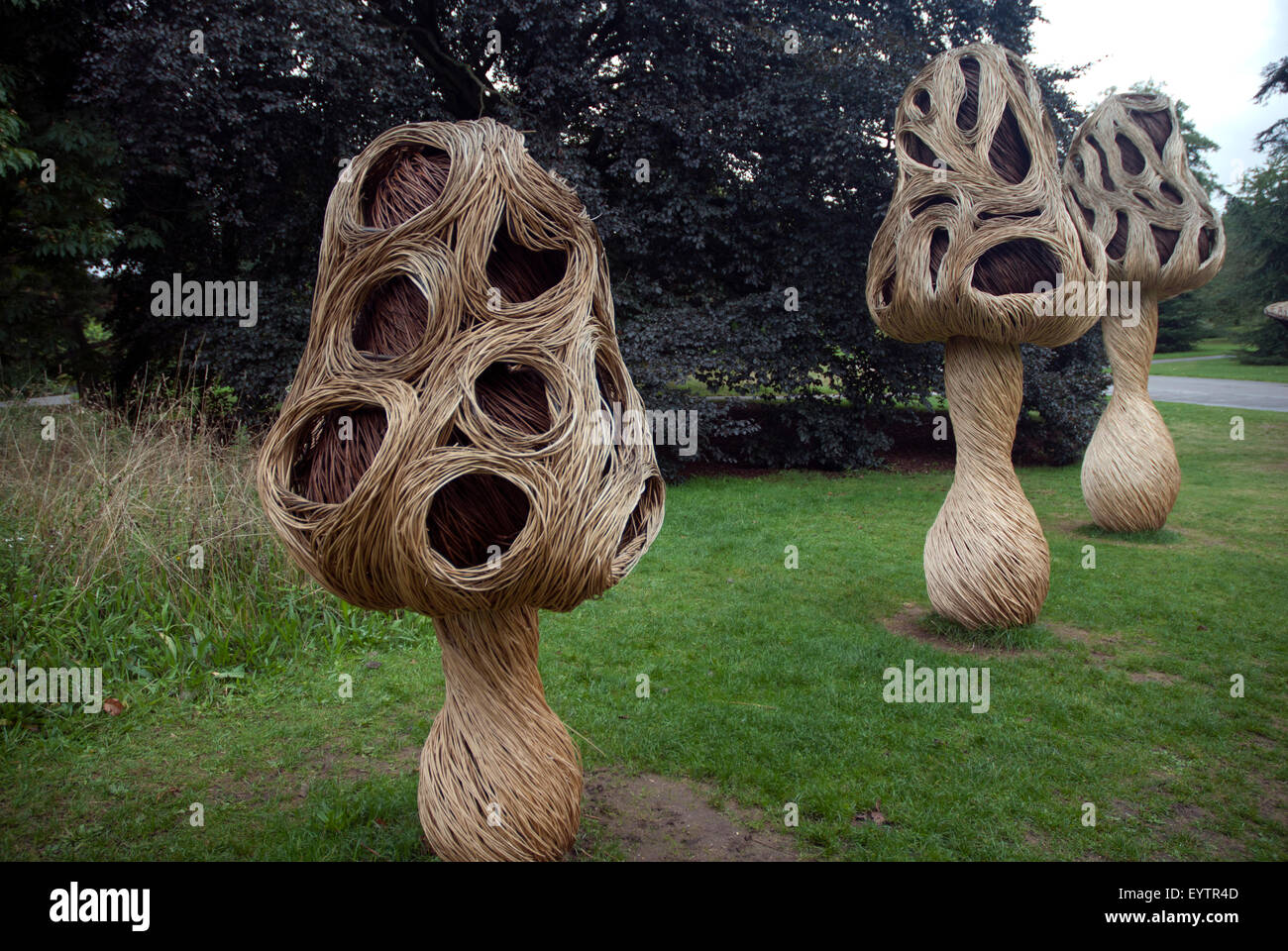Toadstool and mushroom straw statues, West London Garden England UK Stock Photo - Alamy