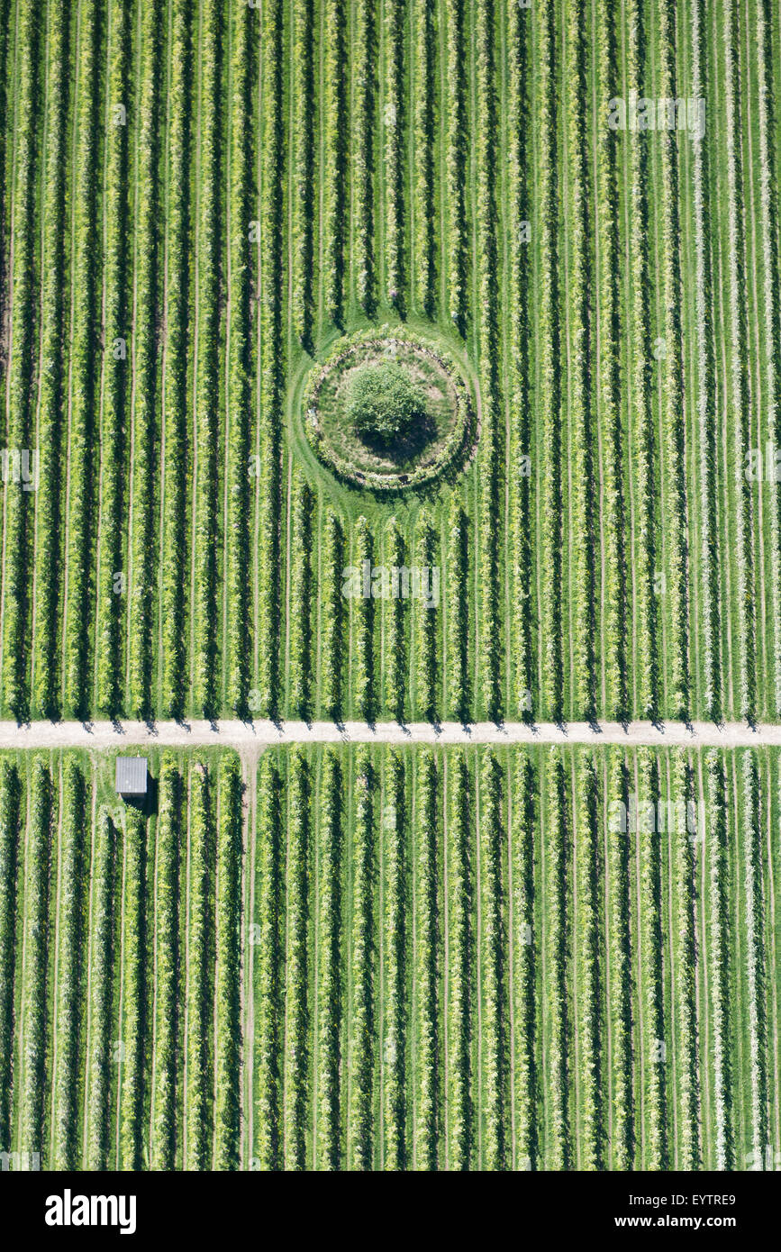 Natural forms hi-res stock photography and images - Alamy