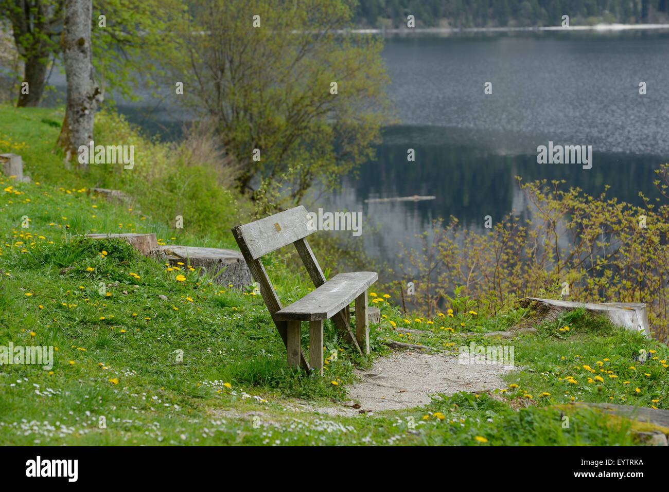 Scenery, park bench, standing, lake, spring Stock Photo - Alamy
