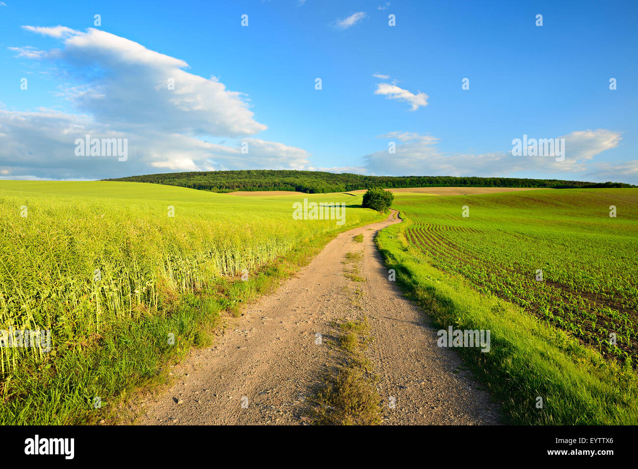 Germany, Thuringia, Gräfentonna, scenery in the Fahner height Stock ...