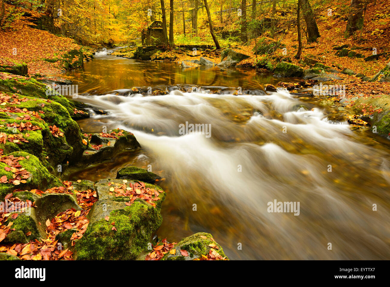 Germany, Thuringia, autumn on the river Schwarza in the Schwarzatal ...