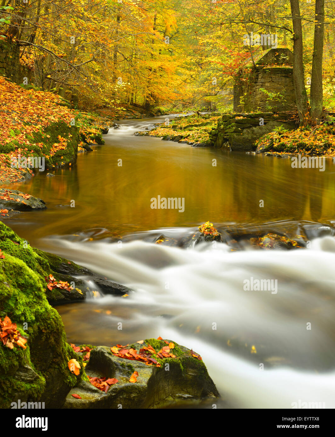 Bad schwarzburg hi-res stock photography and images - Alamy