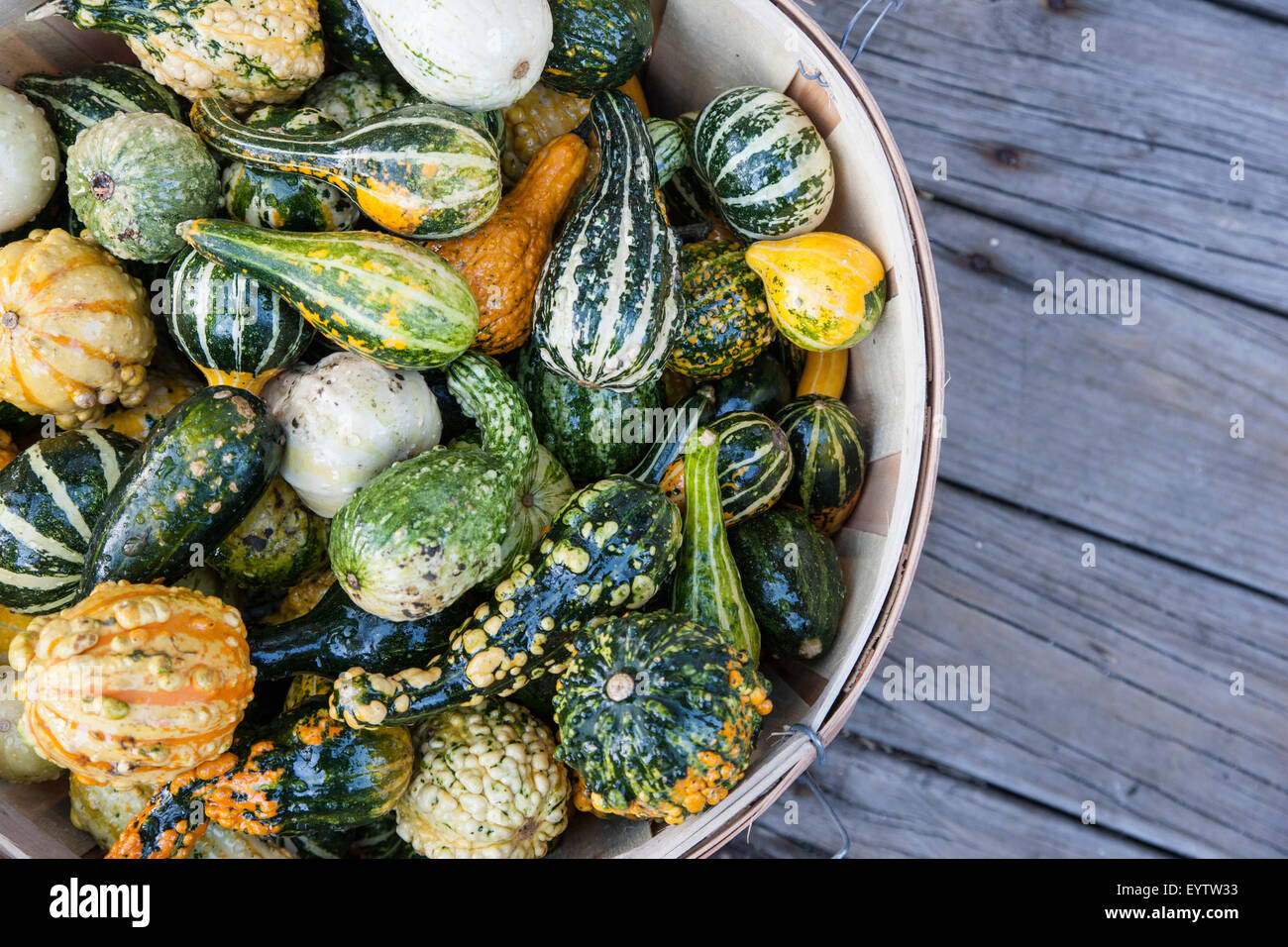 Squash basket hi-res stock photography and images - Alamy