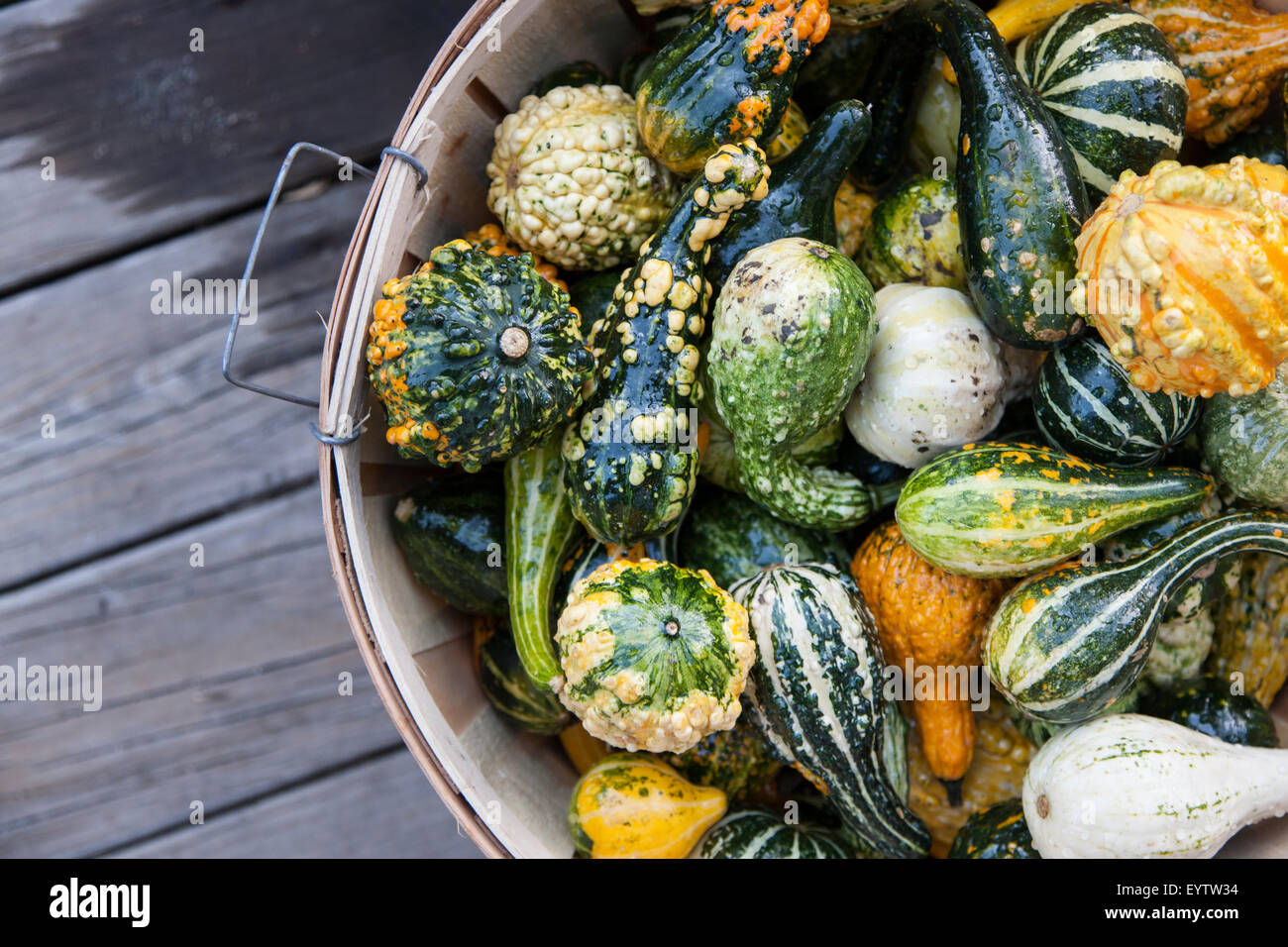 Fall vegetable basket with various squash and pumpkins Stock Photo - Alamy