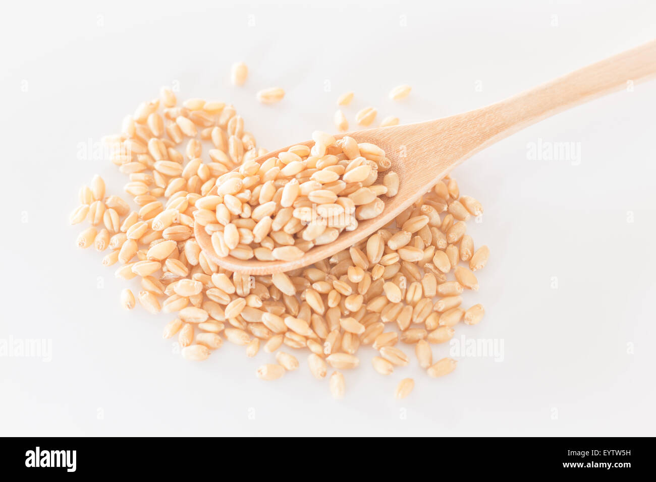 Diet of grass and seeds hi-res stock photography and images - Alamy