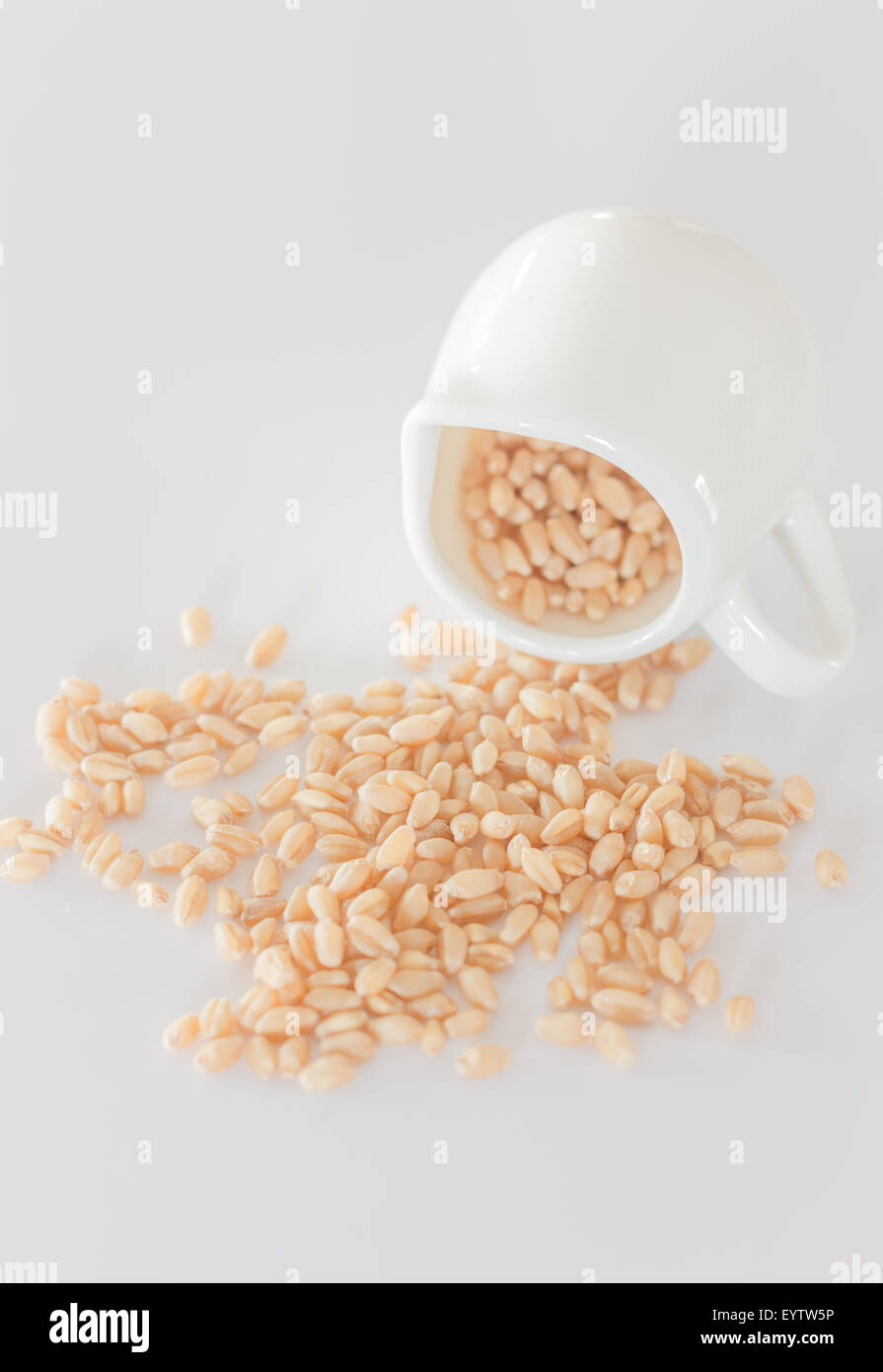 Organic pet wheat grass seeds hi-res stock photography and images - Alamy