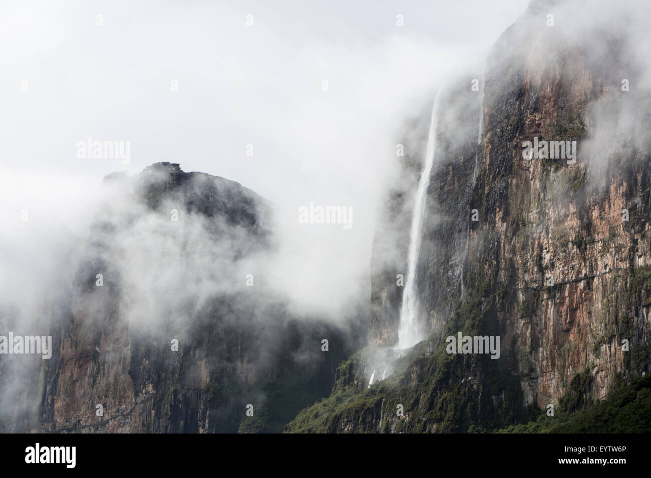 Kukenan tepui in the clouds. The rain falls throughout the year at ...