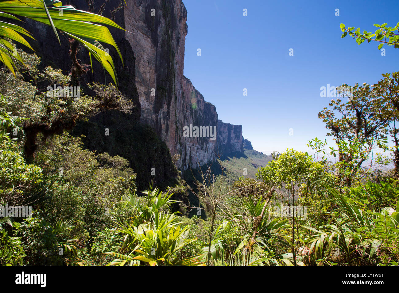 View from Roraima Tepui - Table Mountain - Triple border, Venezuela, Guyana, Brazil Stock Photo ...