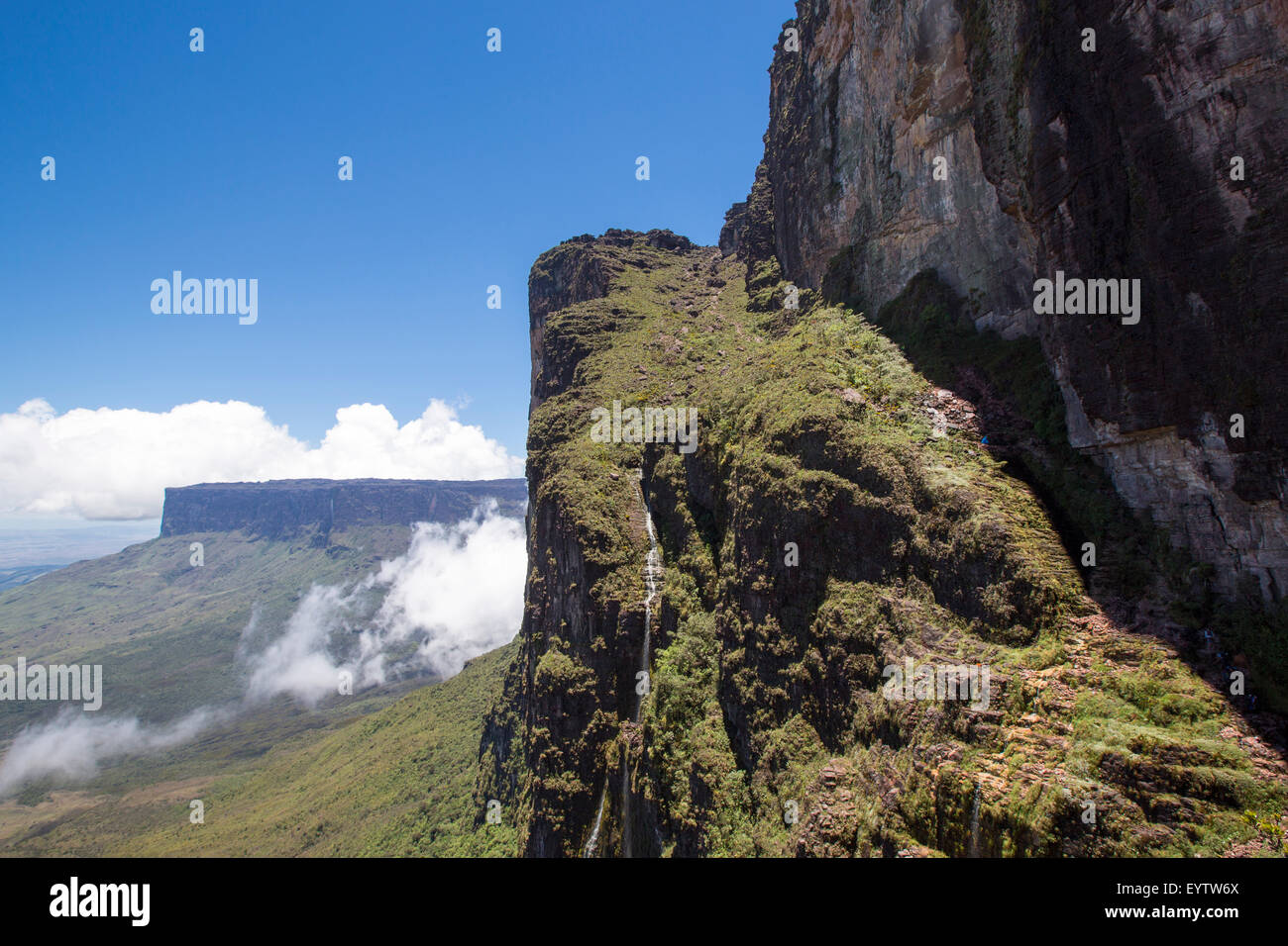 View from Roraima Tepui - Table Mountain - Triple border, Venezuela ...