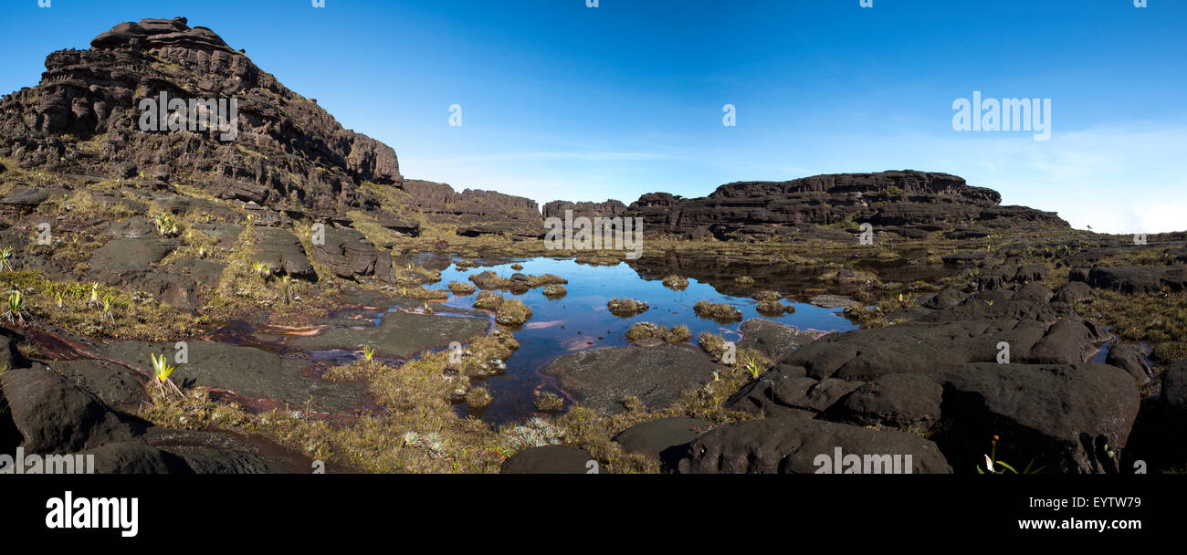 Landscape at the top of Mount Roraima in the morning with blue sky ...