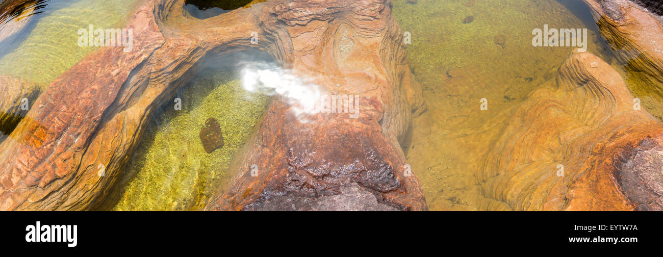 Jaccusi hi-res stock photography and images - Alamy