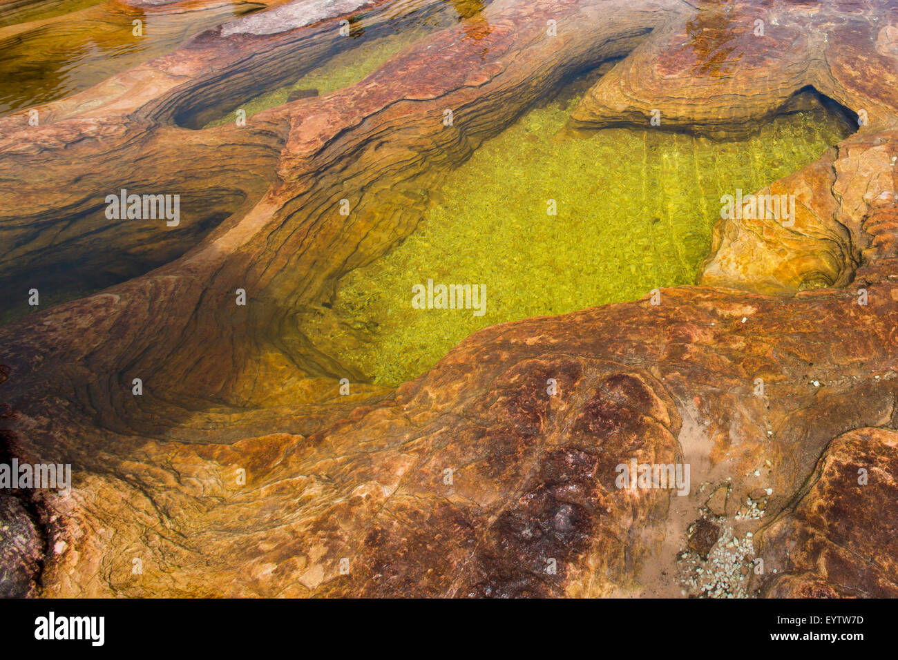 The natural rock formations on the top of Mount Roraima which serves as ...