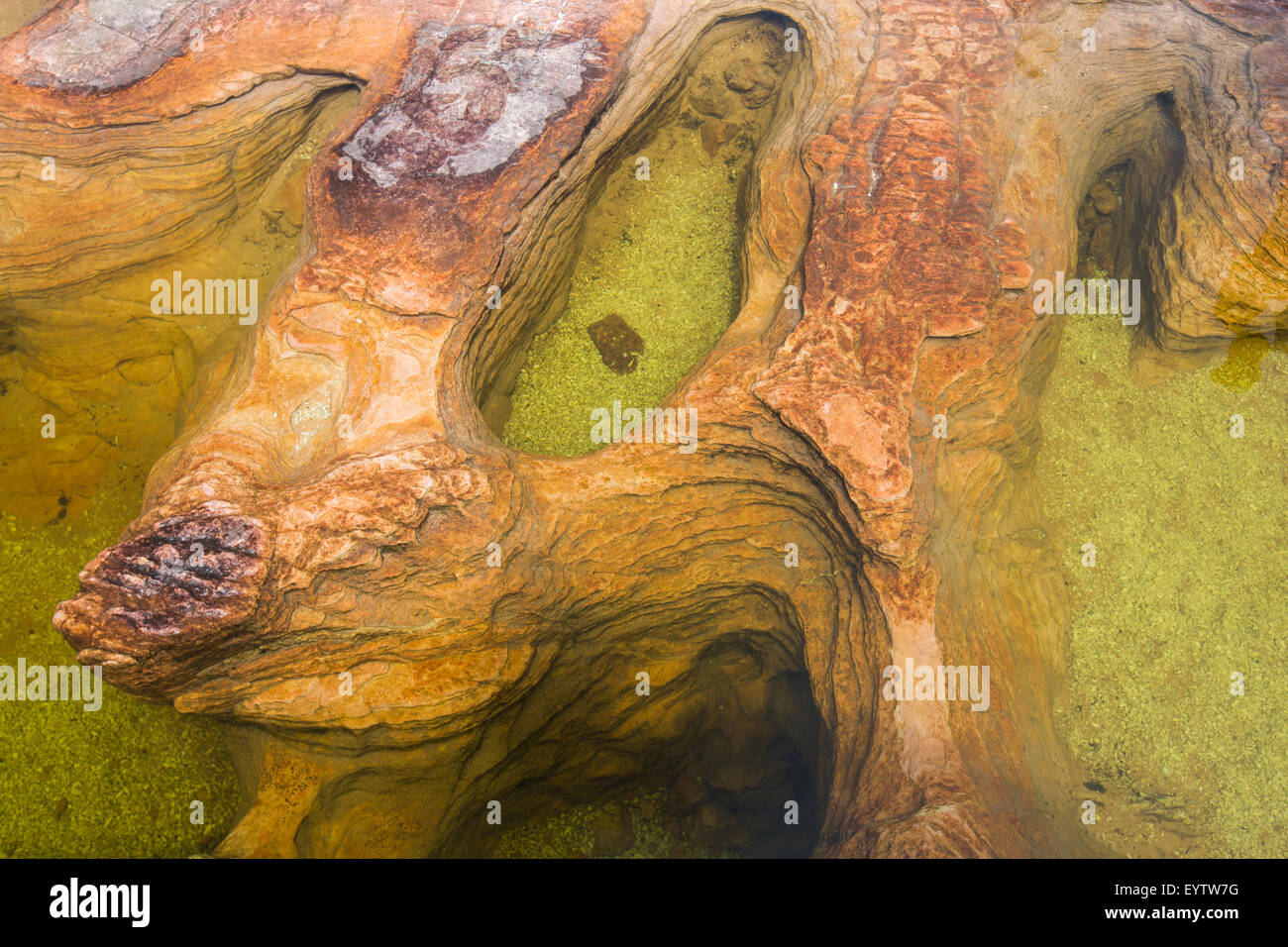 The natural rock formations on the top of Mount Roraima which serves as ...