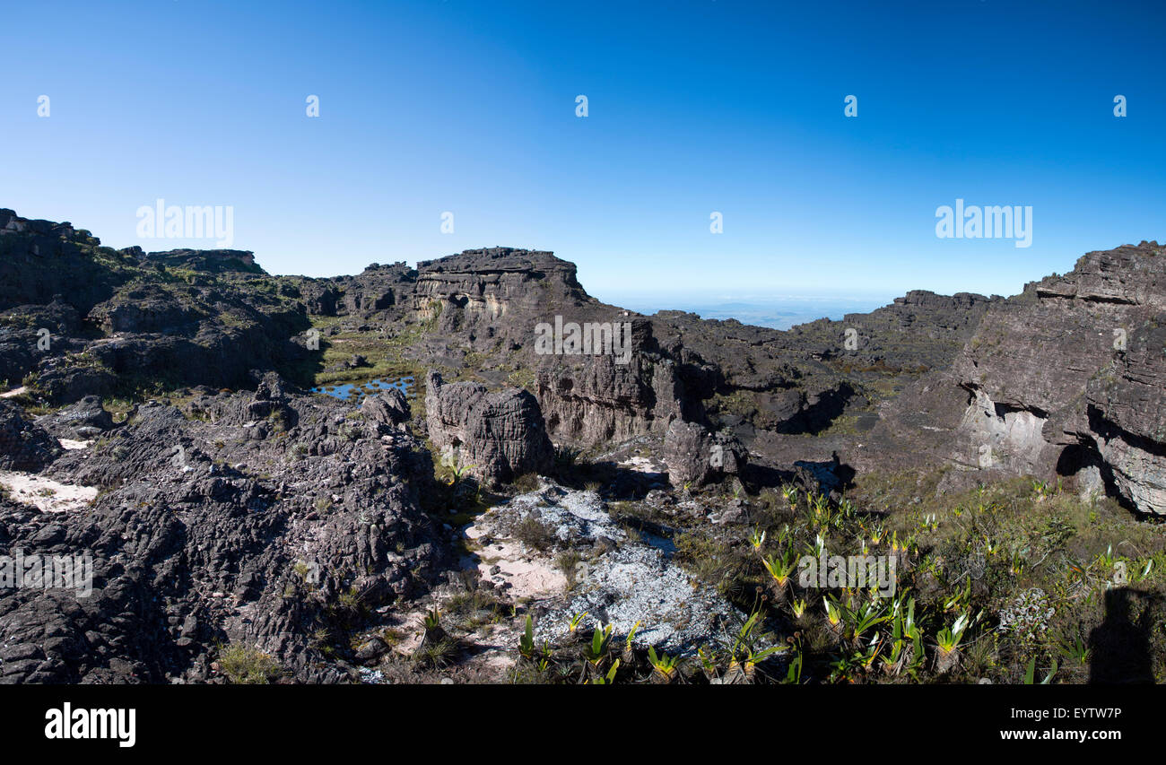 Landscape at the top of Mount Roraima in the morning with blue sky ...