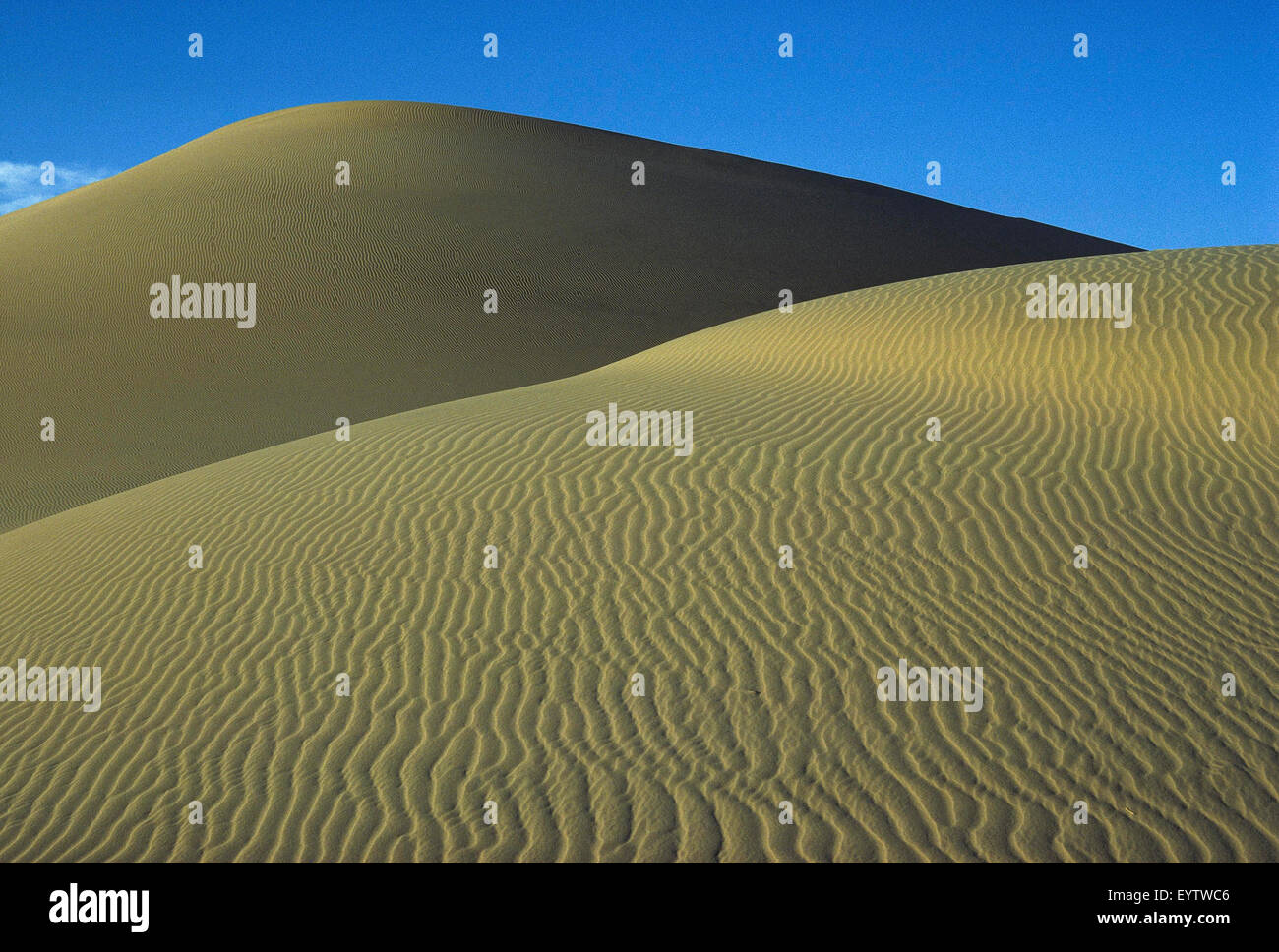 Sandy dunes, Algerian Sahara Stock Photo - Alamy