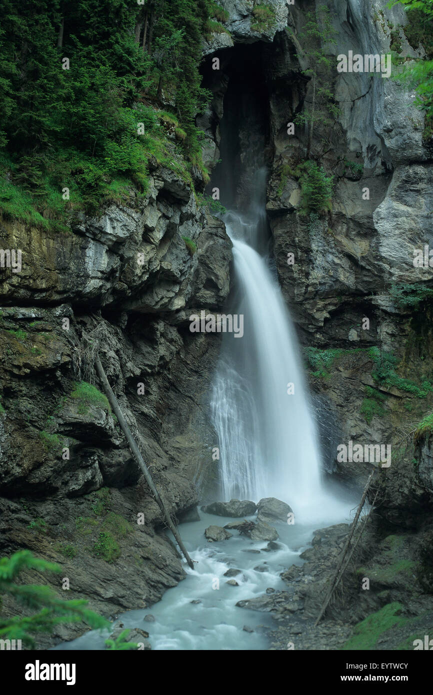 Resinous wood valley hi-res stock photography and images - Alamy