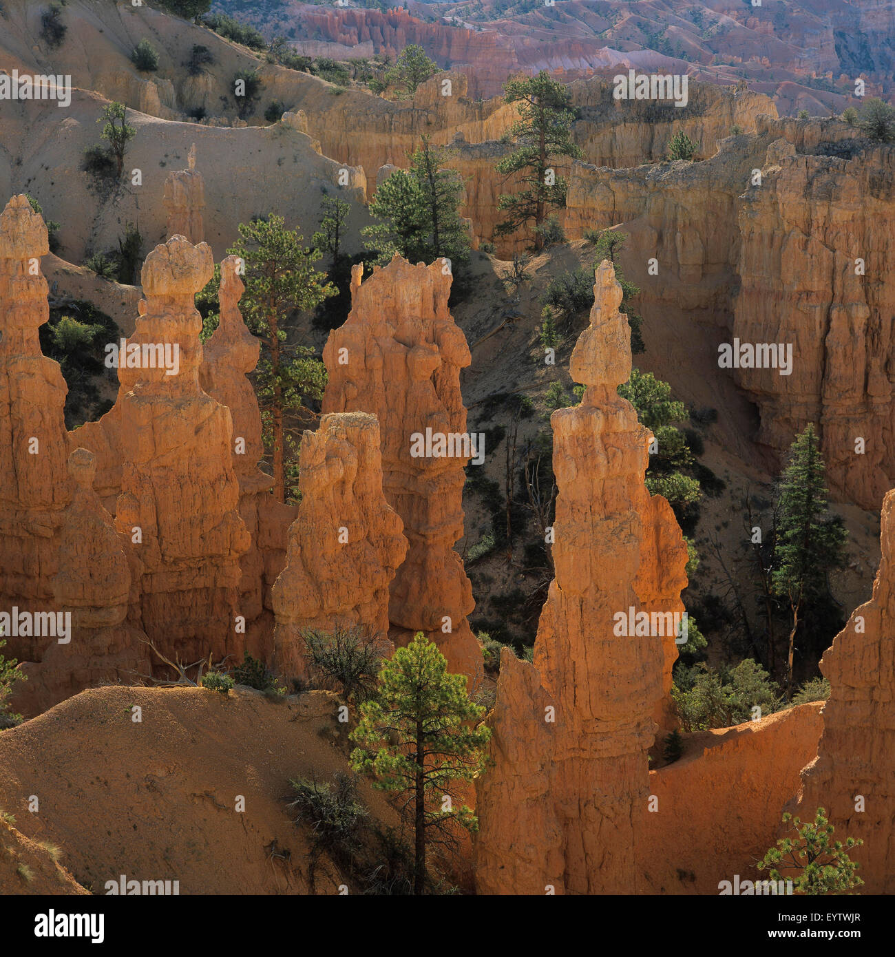 Fairyland Point, Bryce Canyon Stock Photo - Alamy