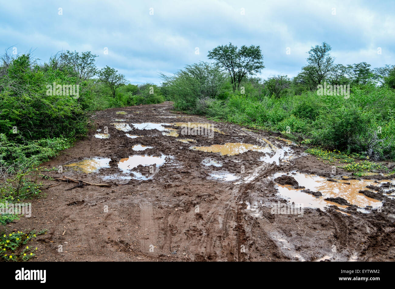 Flooded roads after the rain in Angola and difficulty to travel Stock ...
