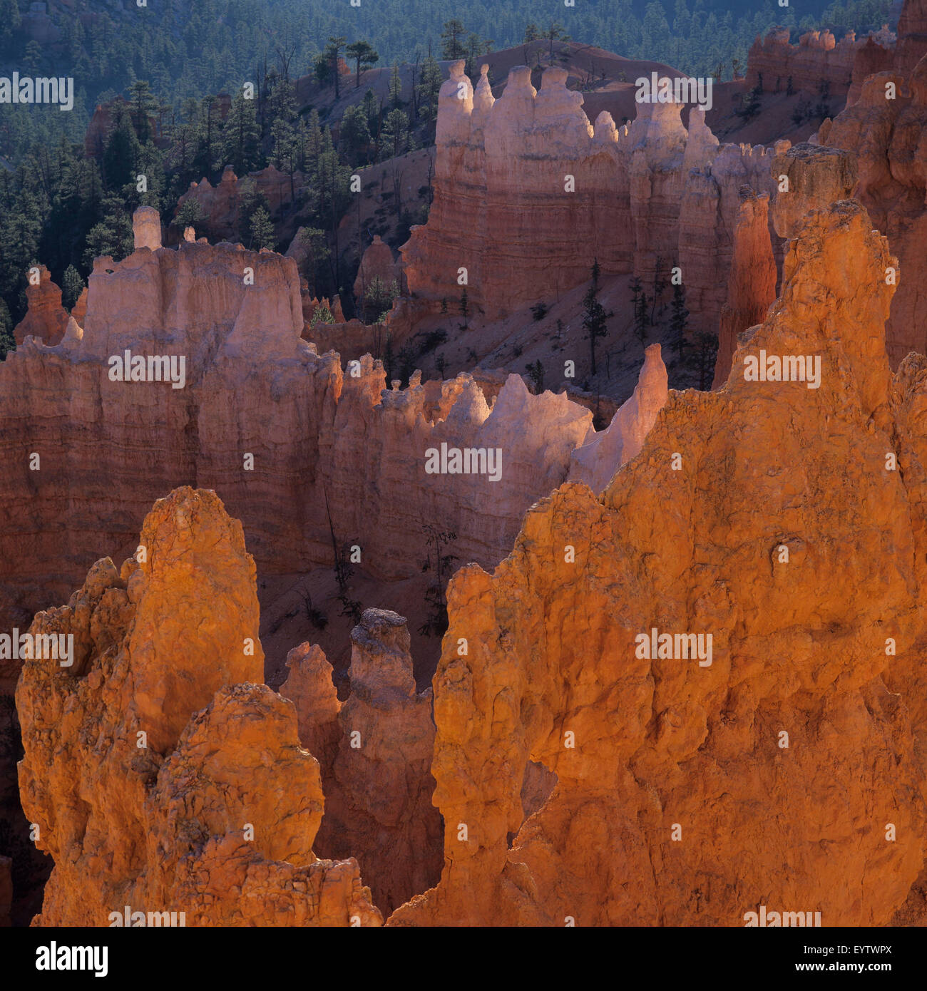Fairyland Point, Bryce Canyon Stock Photo - Alamy