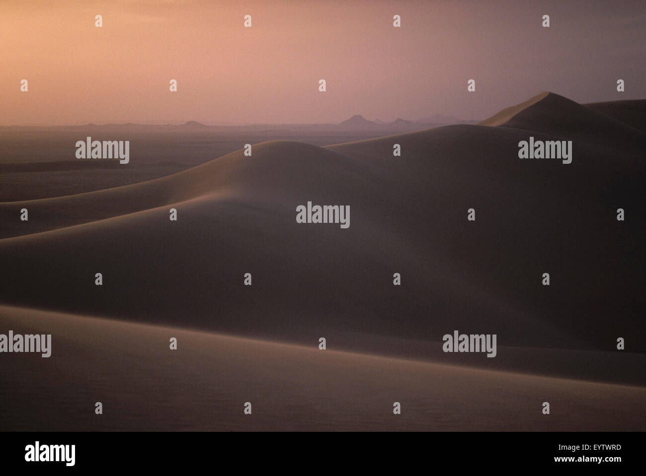 dessert wind, sandy dunes at evening light, Algerian Sahara Stock Photo ...