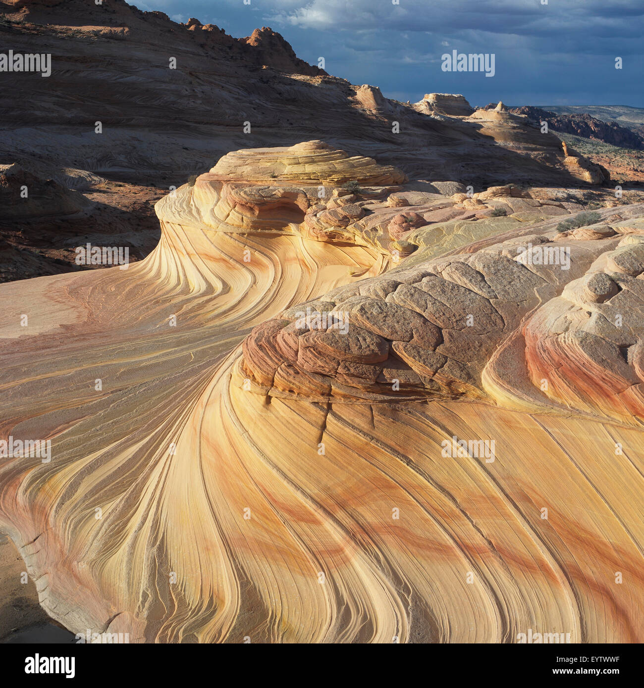 Sandstone sculpture, Grand Staircase Escalante Stock Photo - Alamy