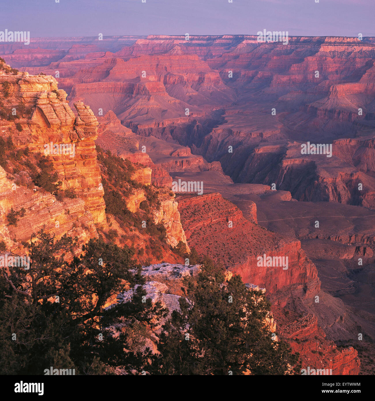 first morning light, Mather Point, Grand canyon Stock Photo - Alamy