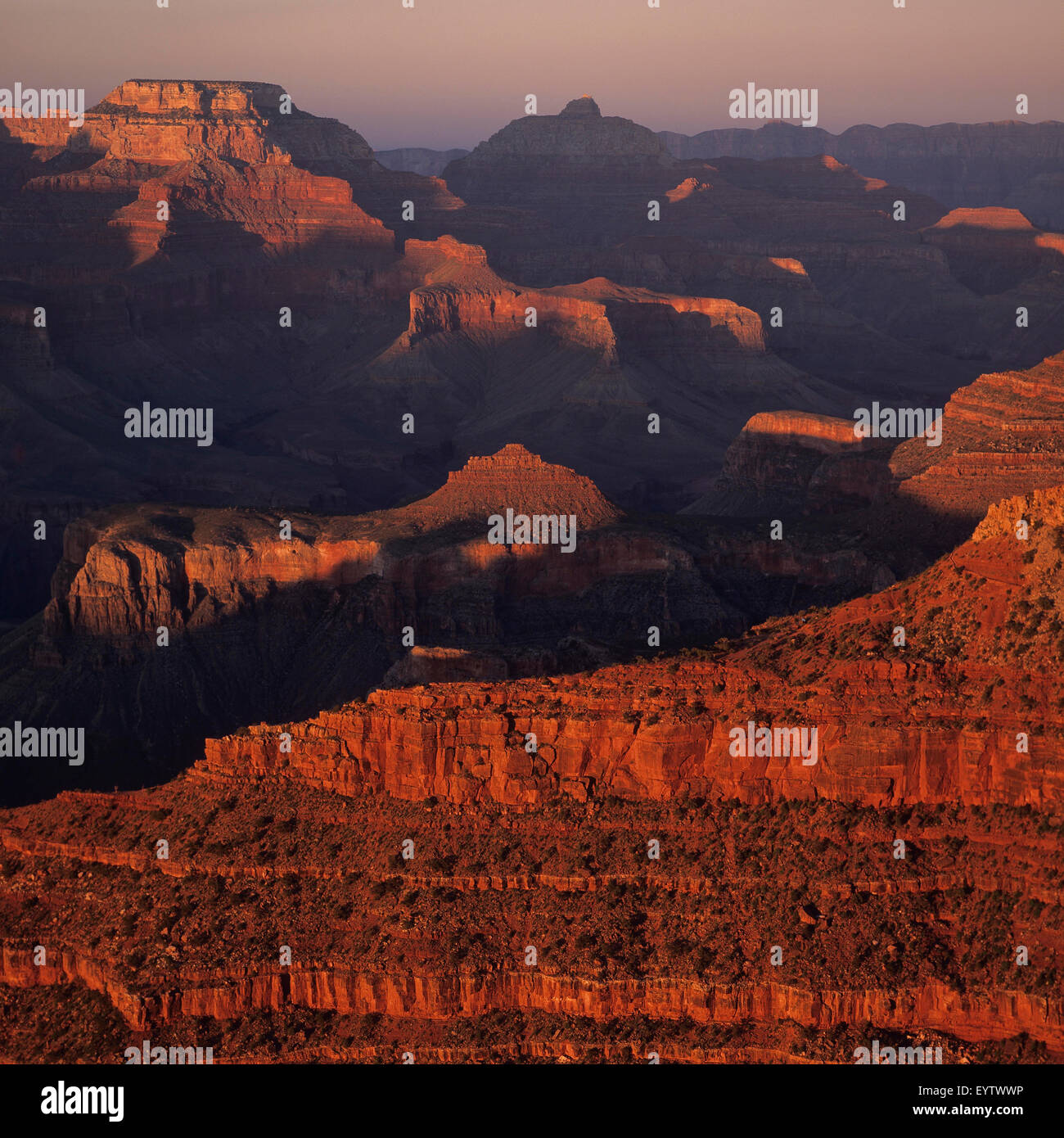 Mather Point, Grand canyon Stock Photo - Alamy