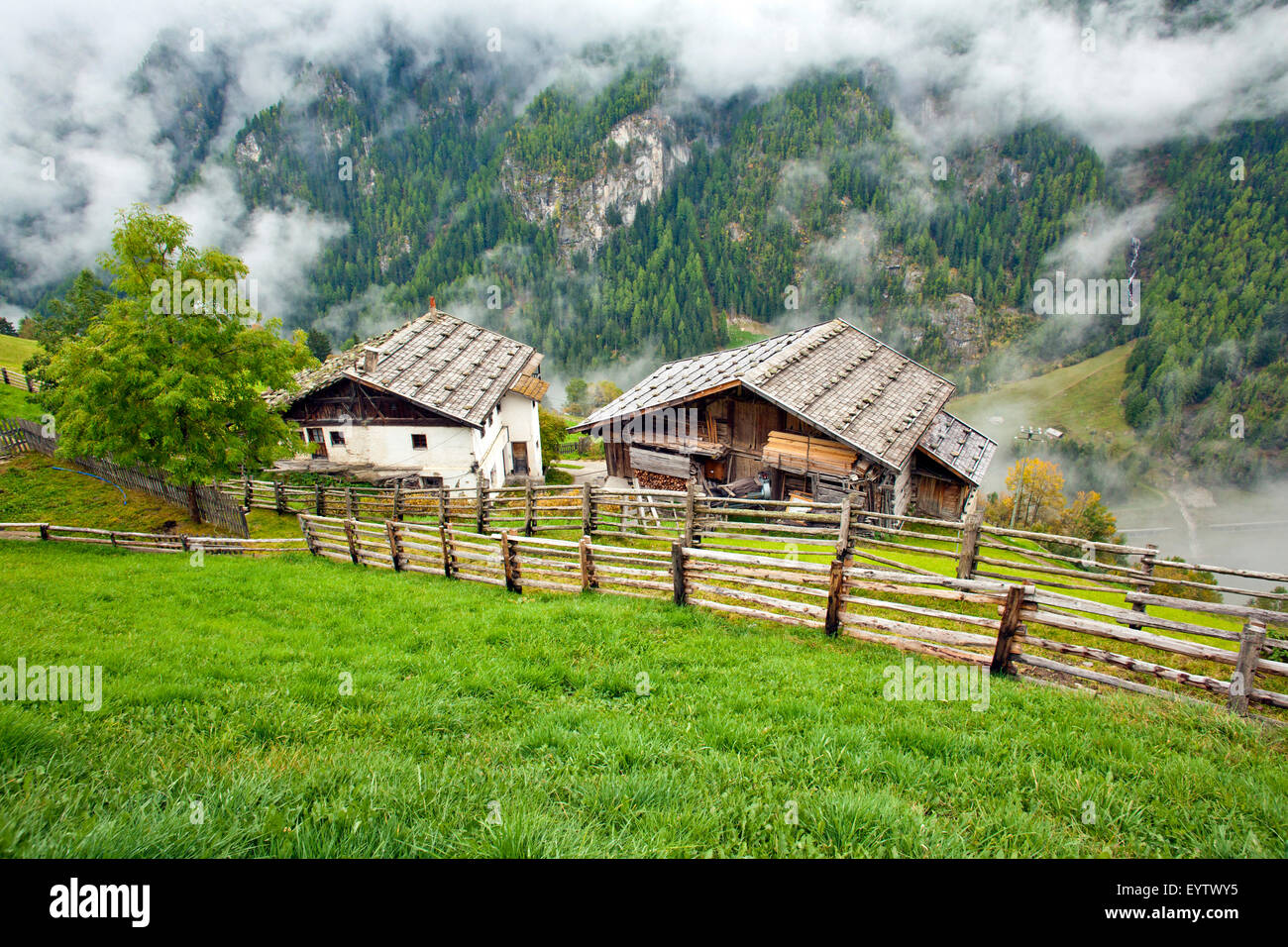 Mountain farm on steep slope in front of mountain forest Stock Photo ...