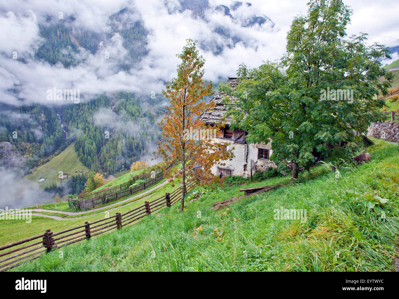 Fog patches in the steep mountain valley Stock Photo - Alamy