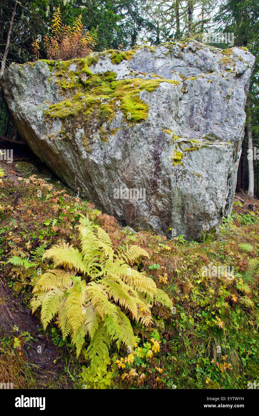 Huge format hi-res stock photography and images - Alamy