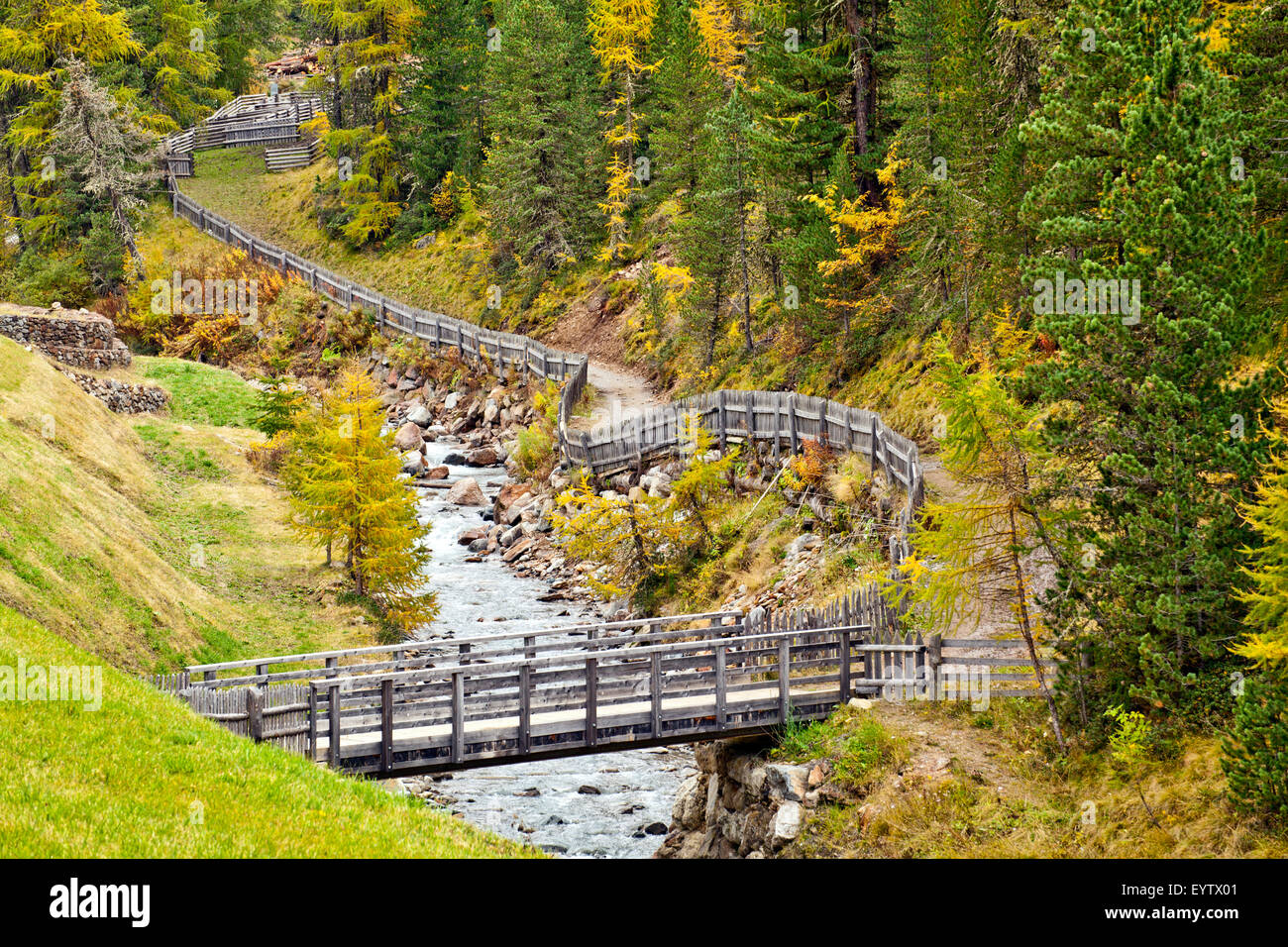 Footbridge over brook in the mountain forest Stock Photo - Alamy