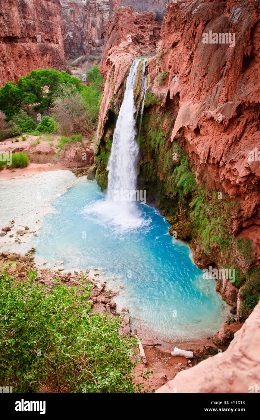 Rainforest waterfall animal hi-res stock photography and images - Alamy