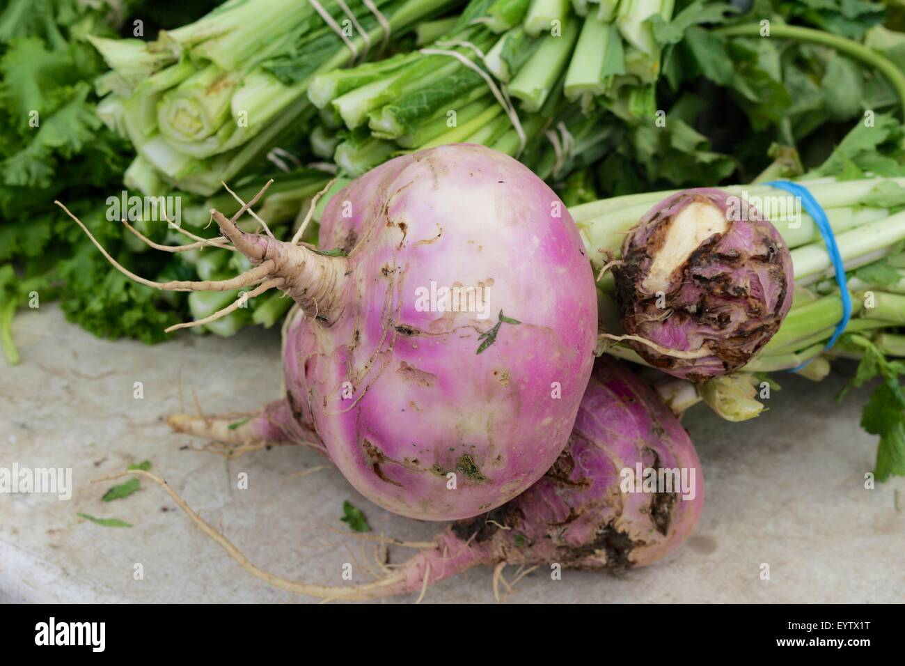 Rutabaga hi-res stock photography and images - Alamy