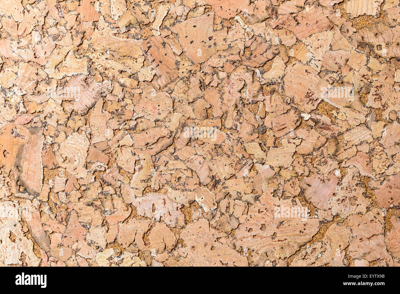 cork surface for background notice board Stock Photo - Alamy