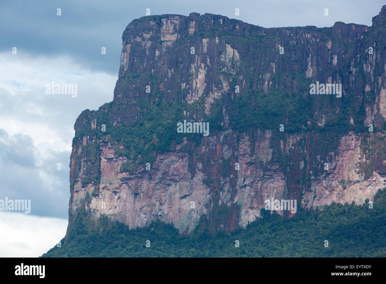 The majestic Ptari­-tepui in Canaima National Park, Venezuela 2015 ...