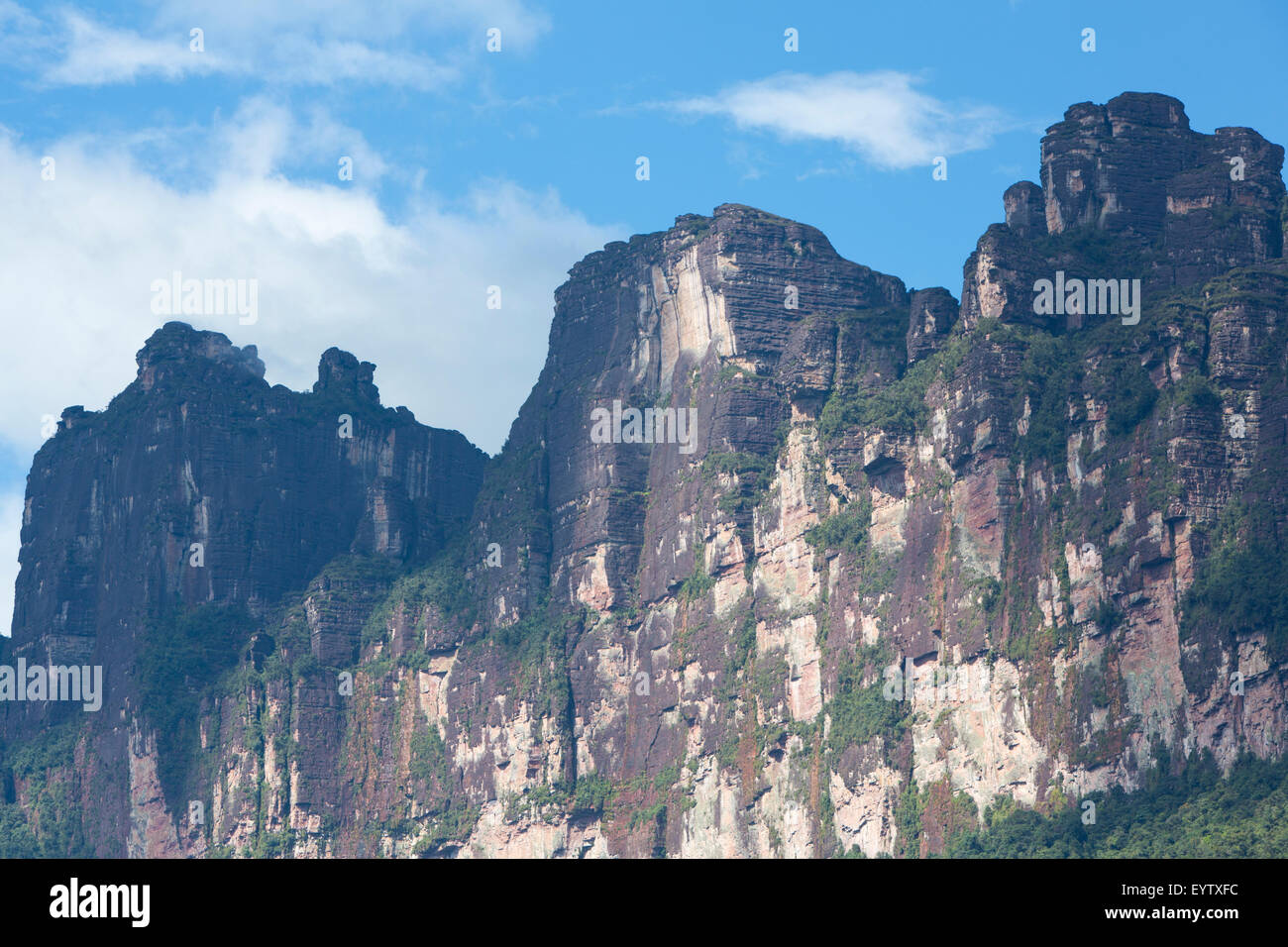 Ptari­ tepui in canaima national park hi-res stock photography and ...