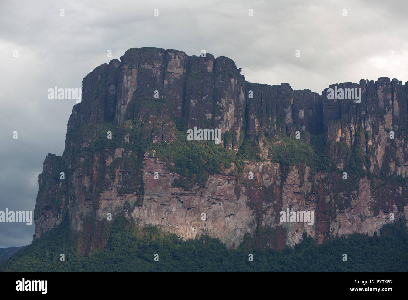 Ptari­ Tepui in Canaima National Park, Venezuela Stock Photo - Alamy